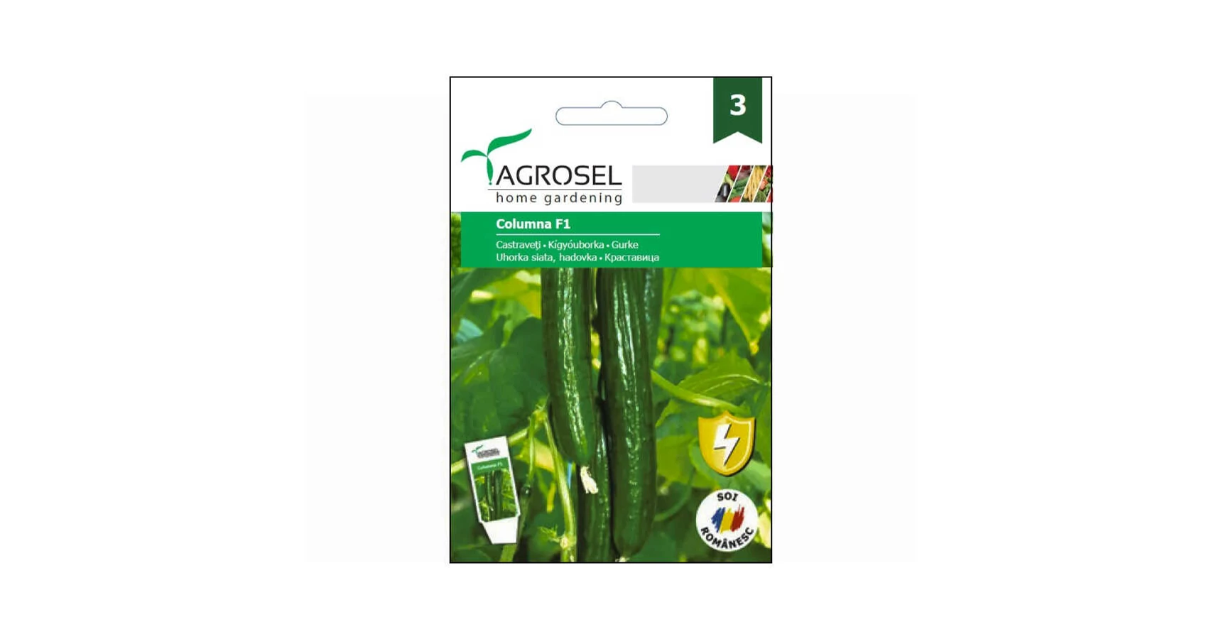 Uborka vetőmag Columna F1 - Agrosel | Agrobolt