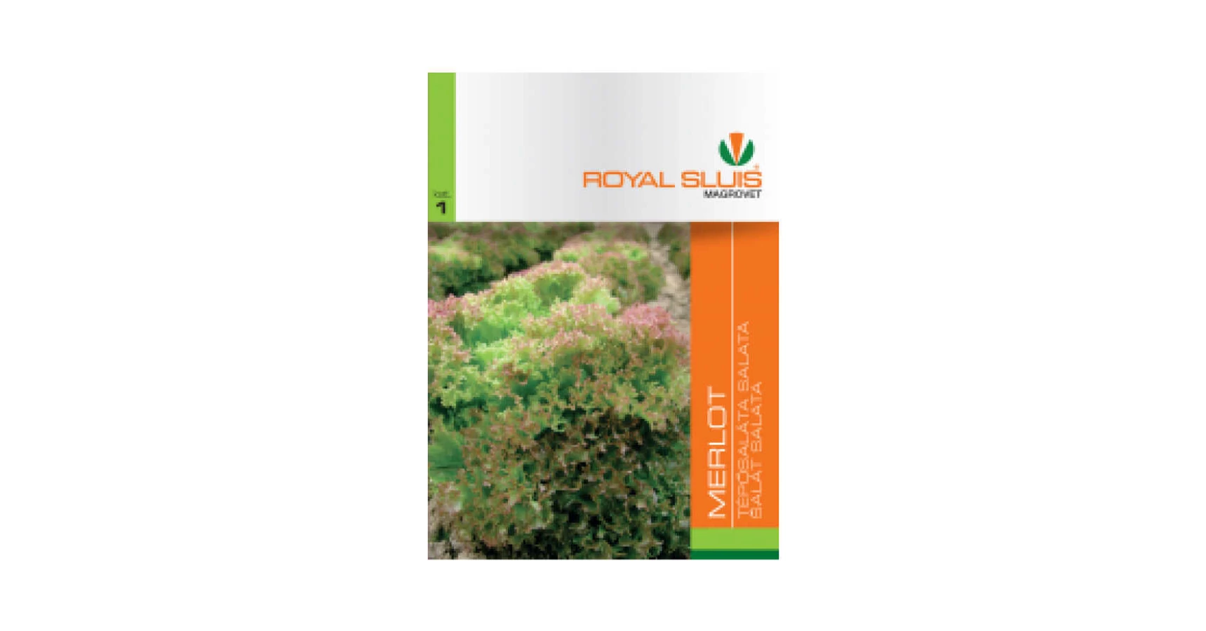 Tépősaláta vetőmag Merlot 5g - Agrobolt