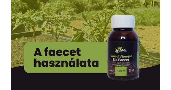 A faecet hatása és használata - minden amit tudnod kell